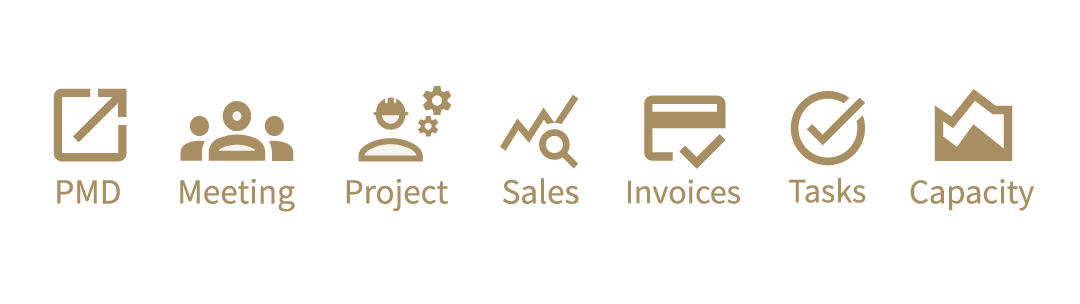 New ProMTO_4 - ProMTO® | Project Portfolio Optimization